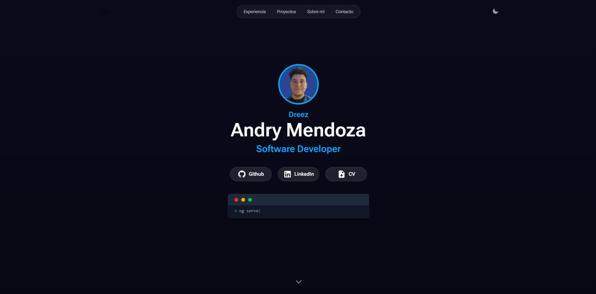 DreezDev - Software Developer